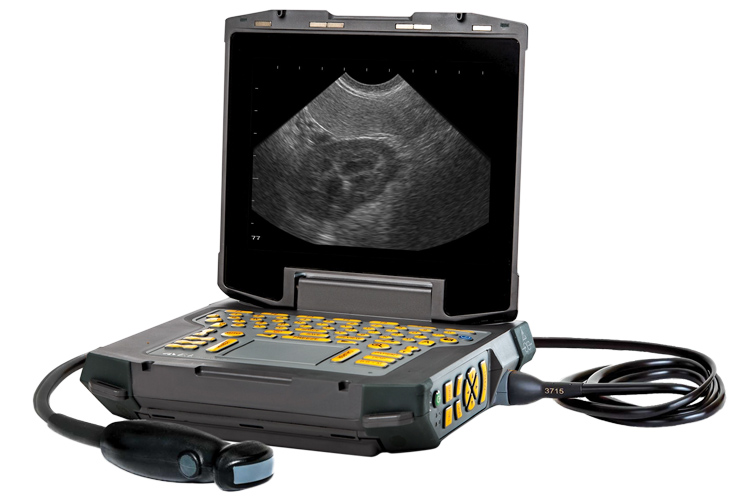 Ecografo IBEX EVO III - Multimage